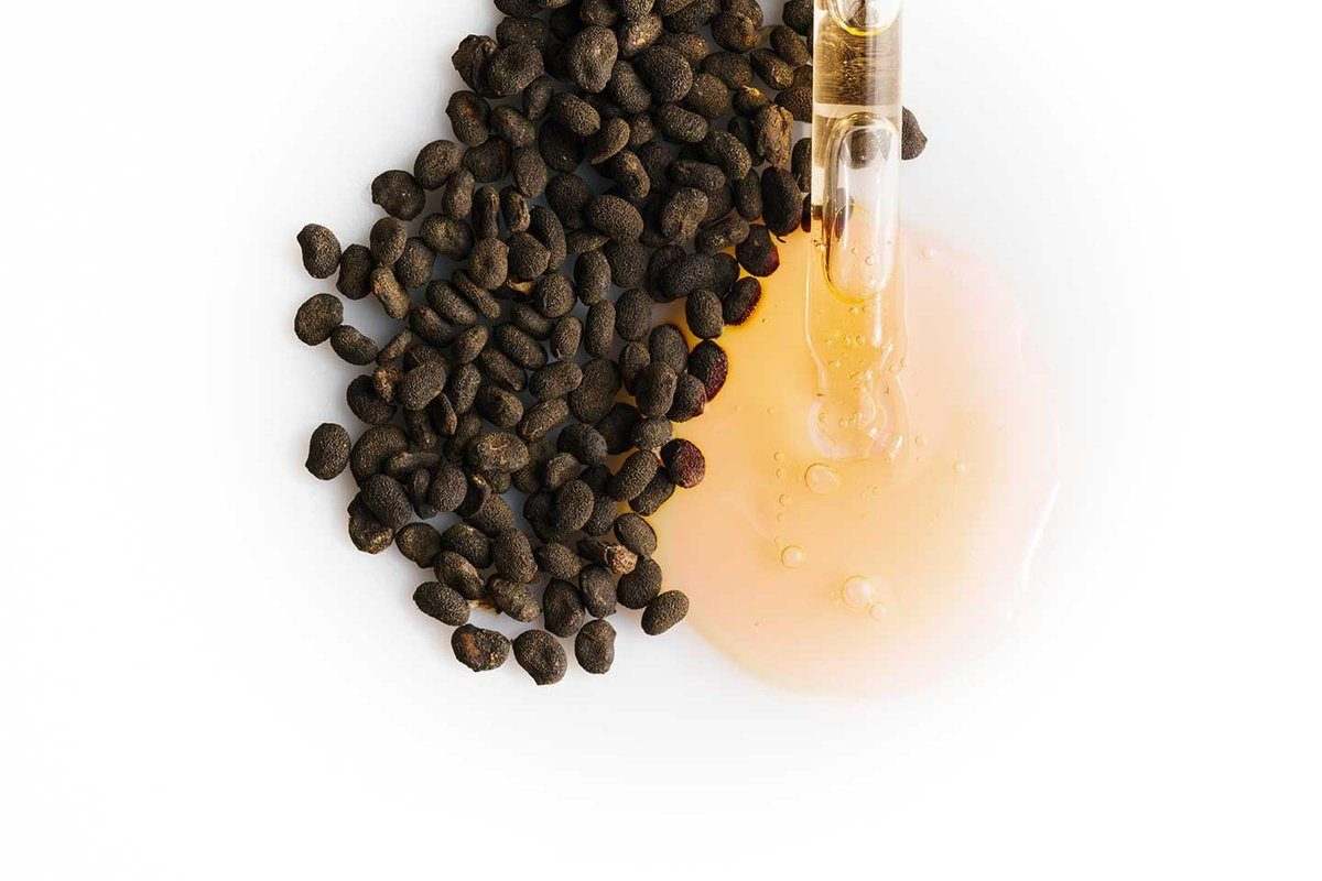 Psoralen in Cosmetic Skincare | Things to Consider About Babchi Oil ...