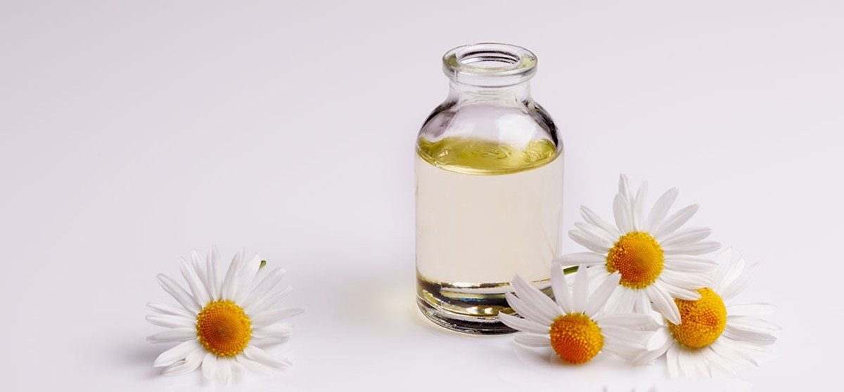 Bisabolol | Spotlight on Active Botanicals | Natural Skincare ...